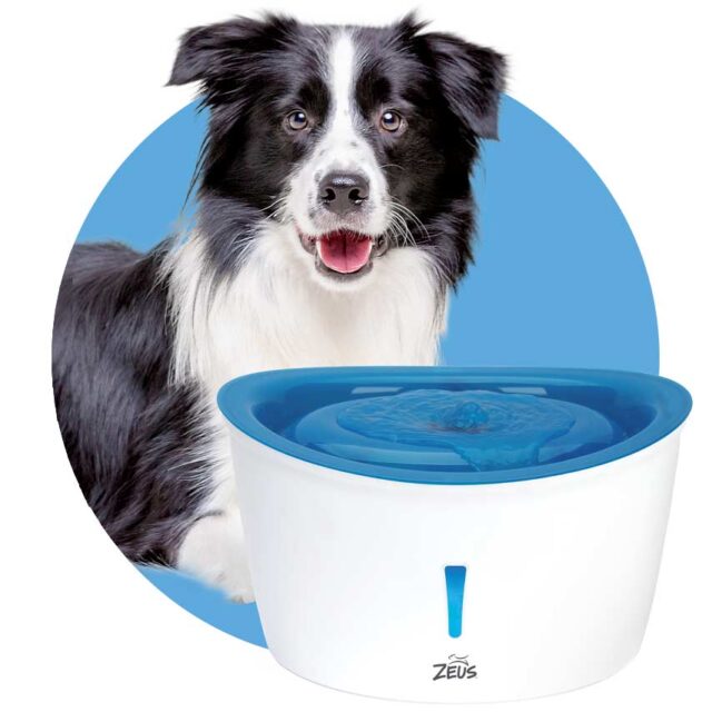 Cascade Drinking Fountain - Zeus & Zoë