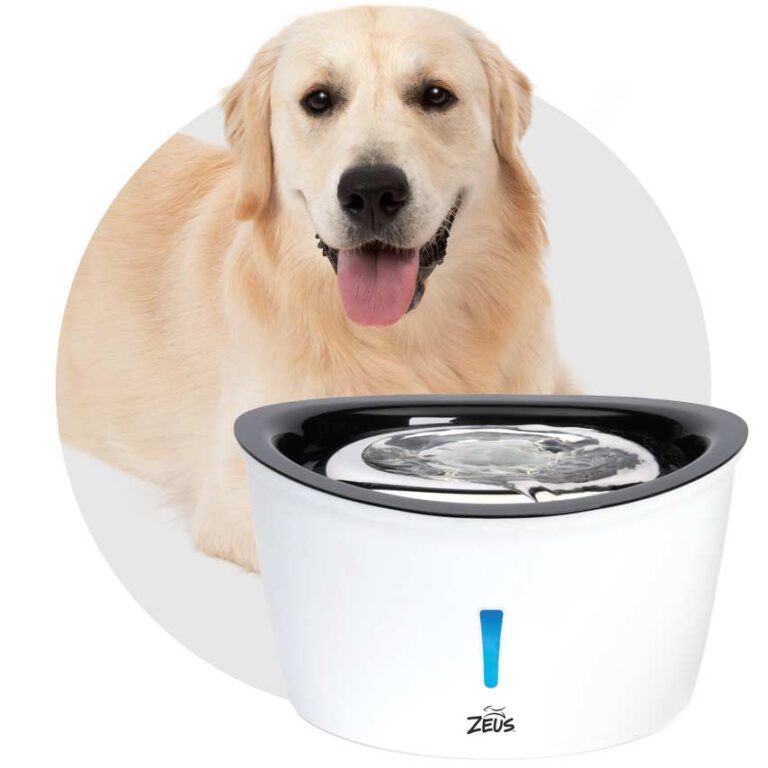 Cascade Drinking Fountain - Zeus & Zoë