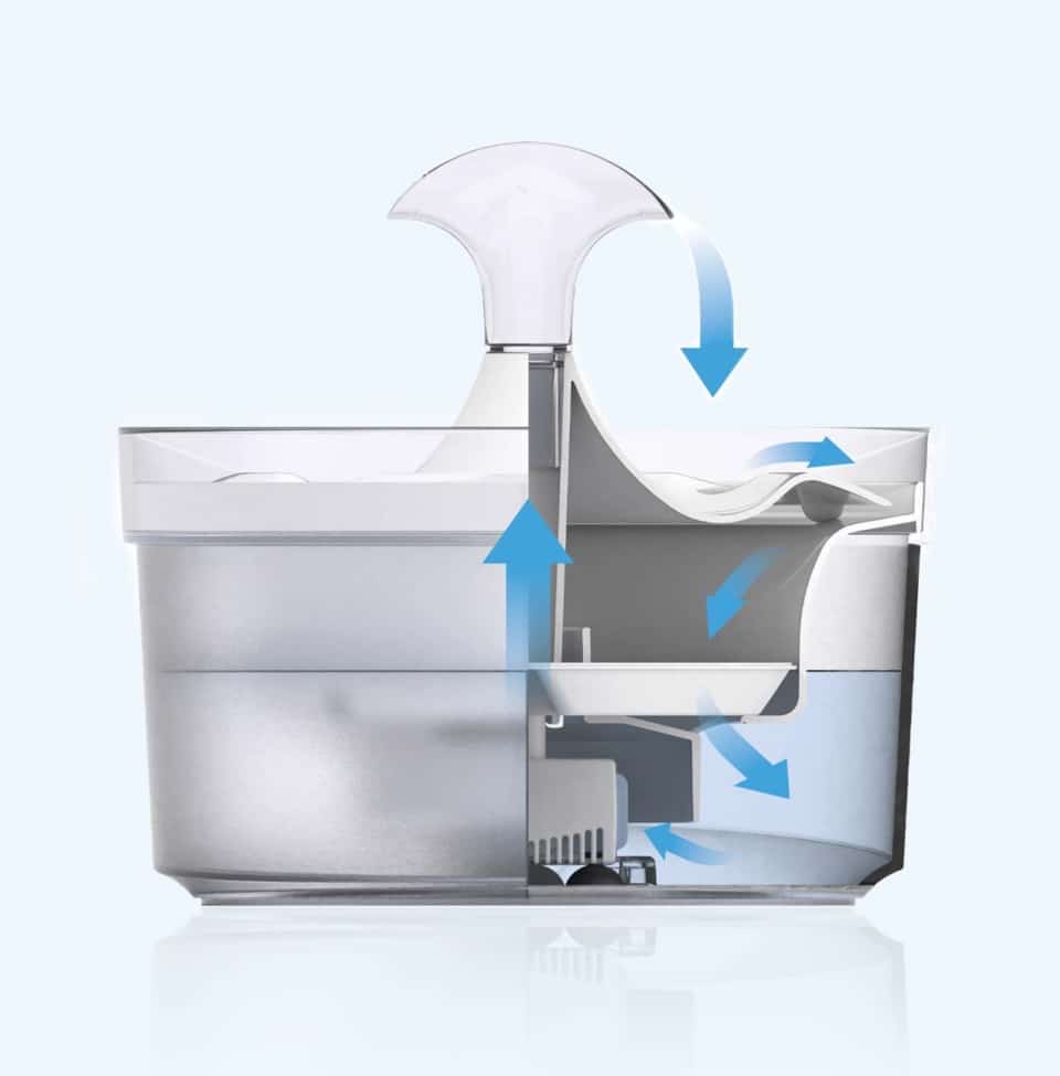 Fresh and Clear Drinking Fountain - Zeus & Zoë