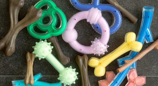How do I pick the right chew toy for my dog? - Zeus & Zoë