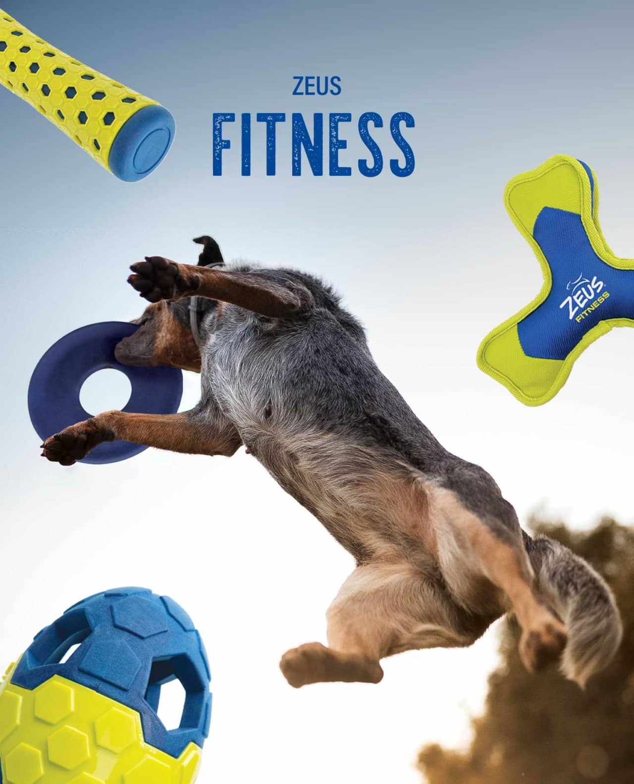 Fitness - Zeus & Zoë