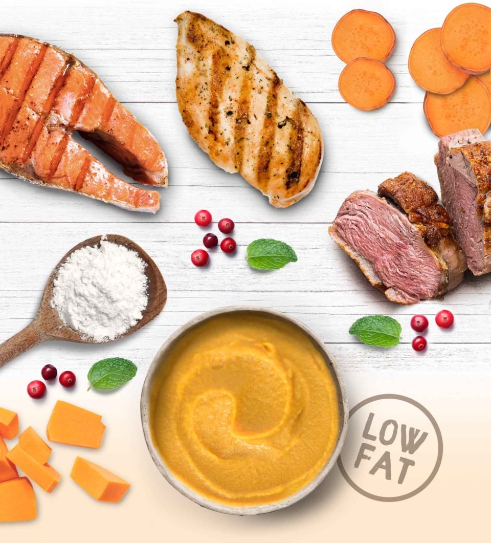 Licky Snack - Zeus & Zoë