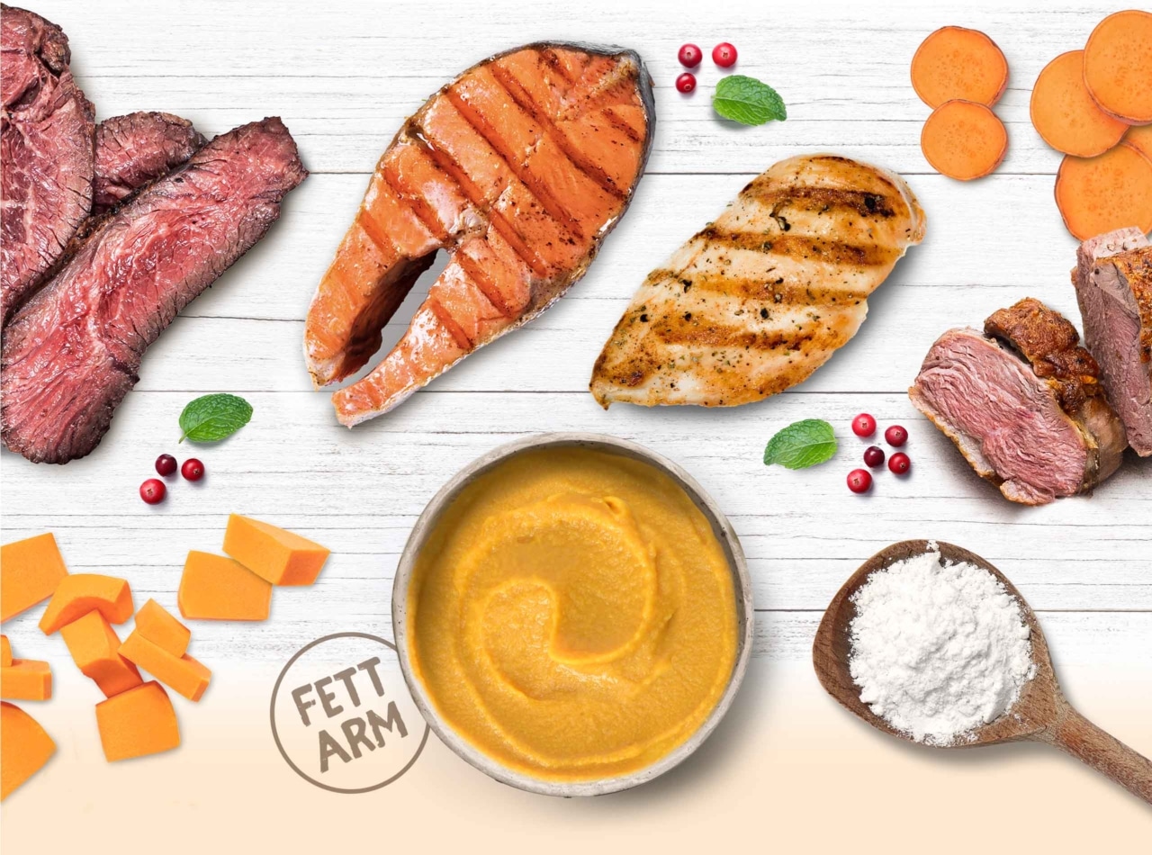 Licky Snack - Zeus & Zoë